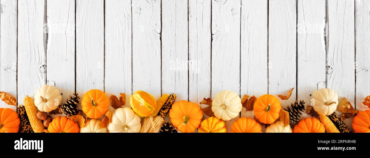 Fall bottom border of pumpkins, leaves and natural autumn decor. Top ...