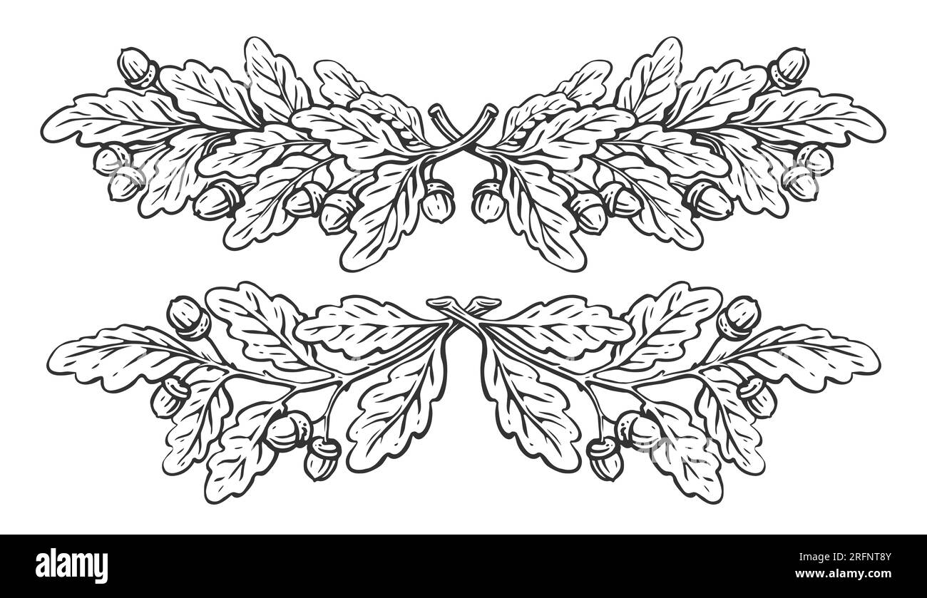Drawn oak branch with leaves and acorns. Frame border design set ...