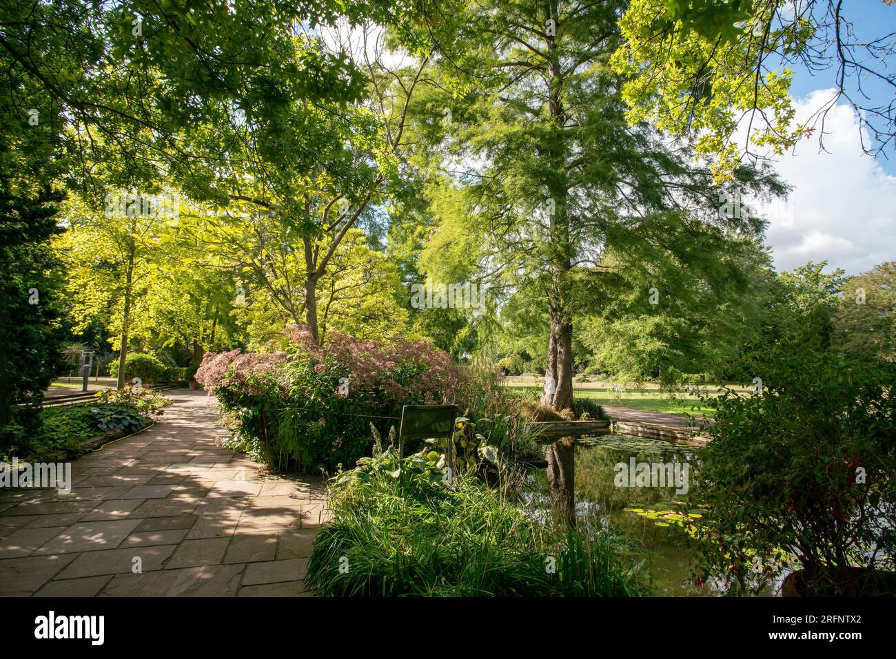 Greenery in Stadtpark of Hanover:pond, garden path and early Autumn nature in sunny September ...