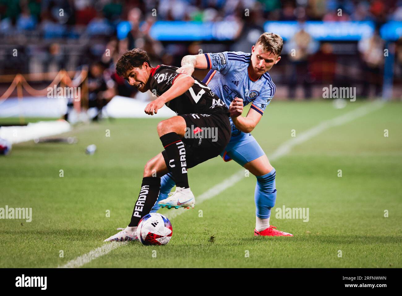 Ariel fox undrafted hi-res stock photography and images - Alamy