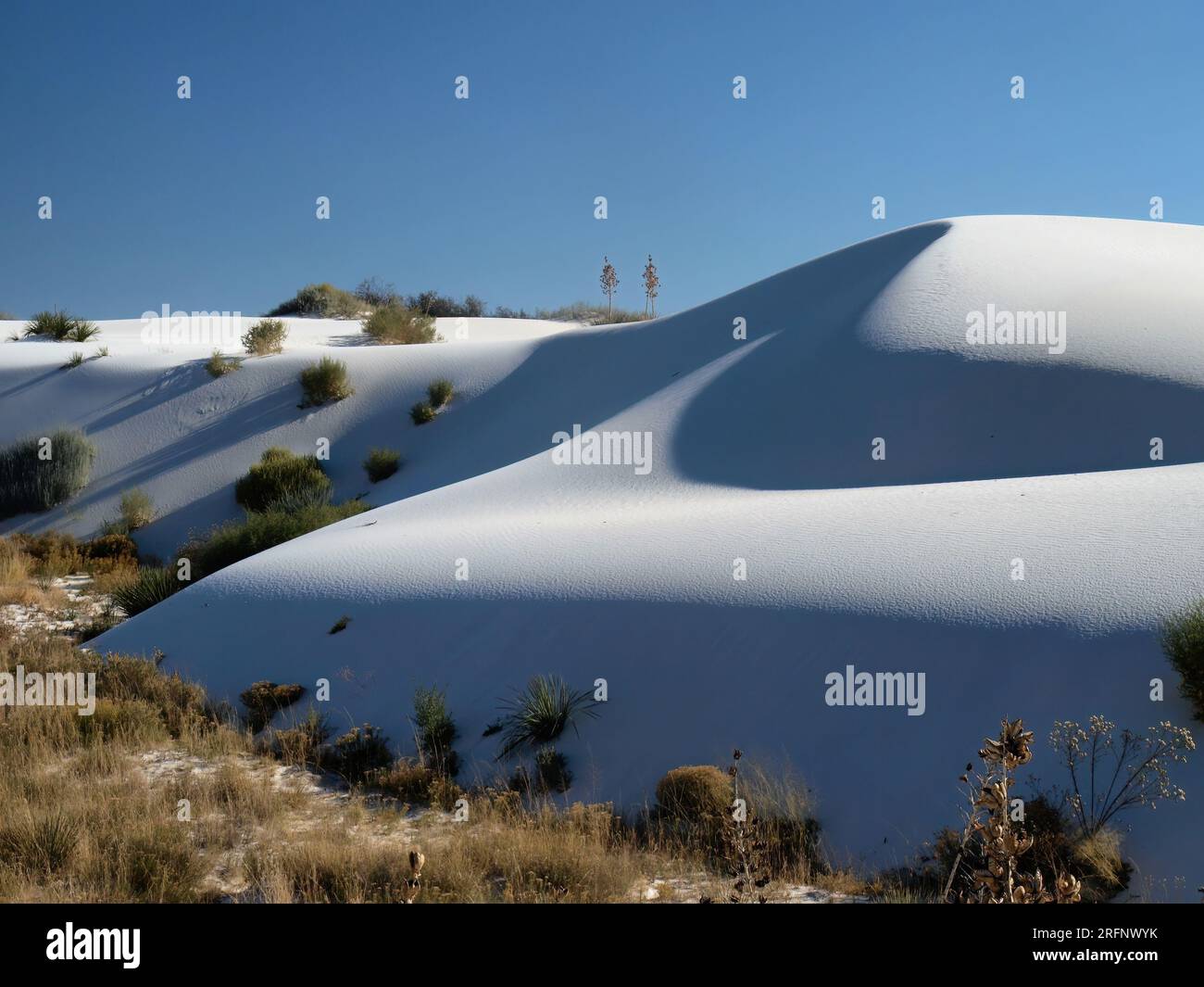 Parallel dunes and shadows at White Sands National Park, New Mexico ...
