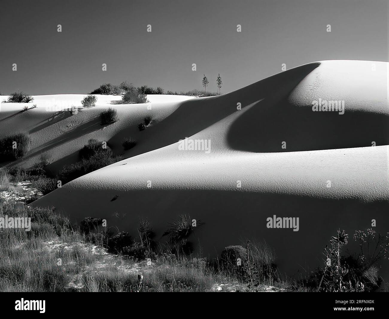 Monochrome of wavy sand dunes Stock Photo - Alamy