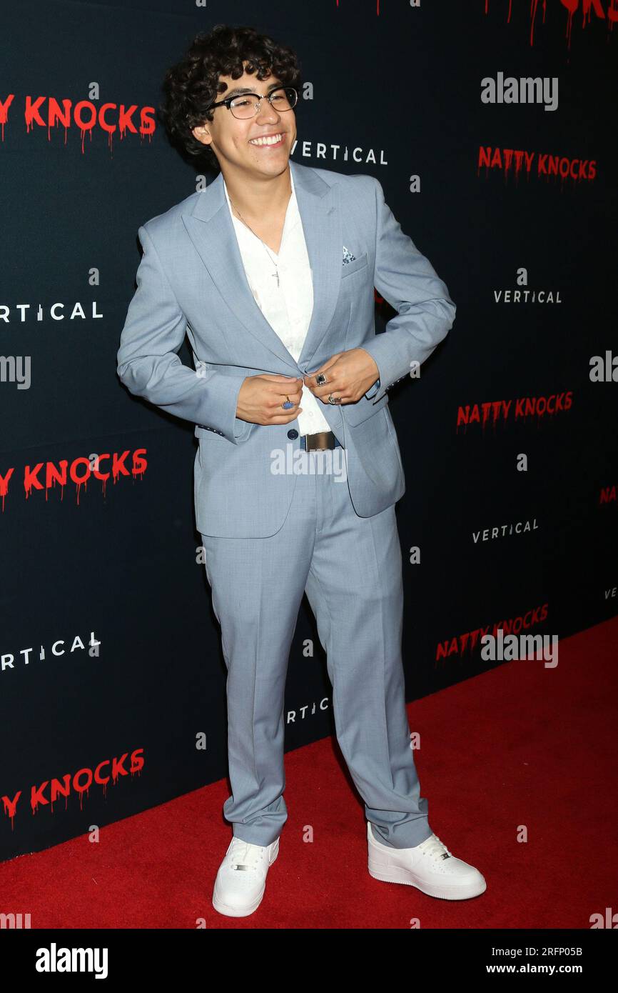 Natty Knocks Los Angeles Premiere at the Harmony Gold Theater on June ...