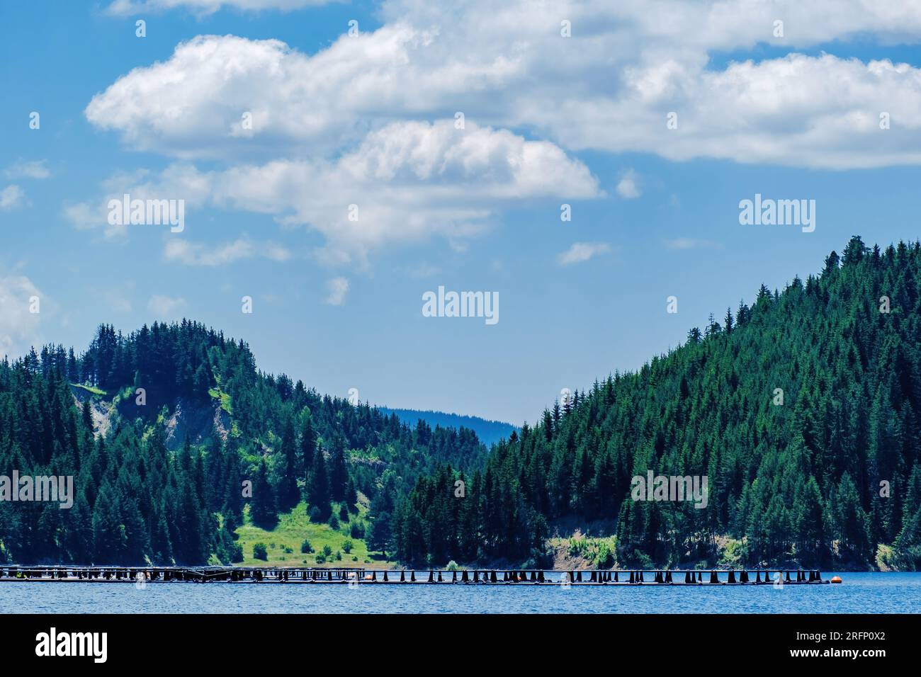 Summer landscape of Dospat dam in Rhodope mountains, Bulgaria Stock ...