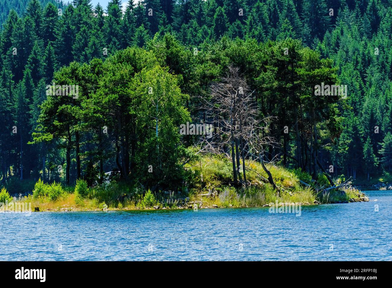 Summer landscape of Dospat dam in Rhodope mountains, Bulgaria Stock ...