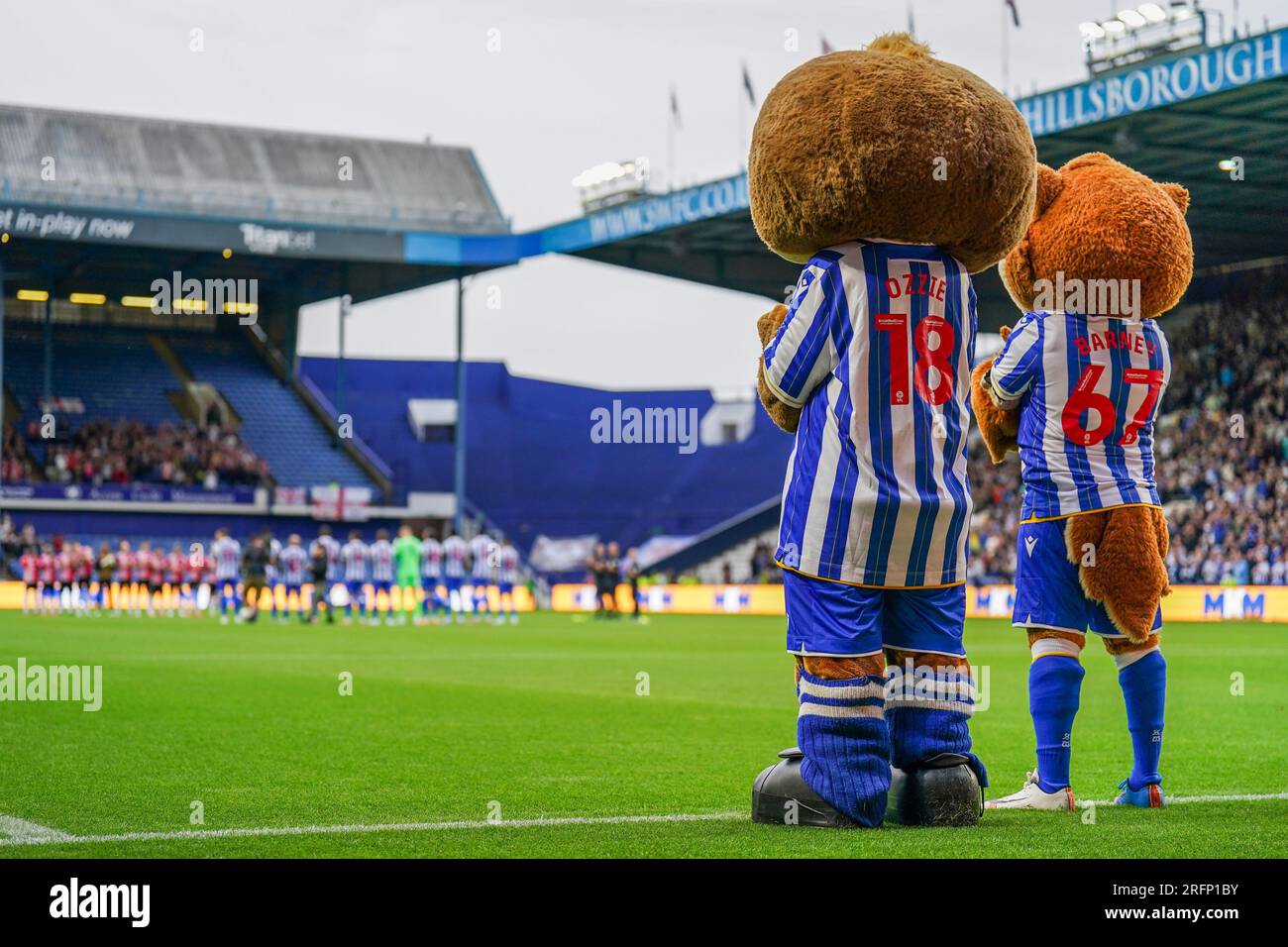 Efl mascots hi-res stock photography and images - Alamy