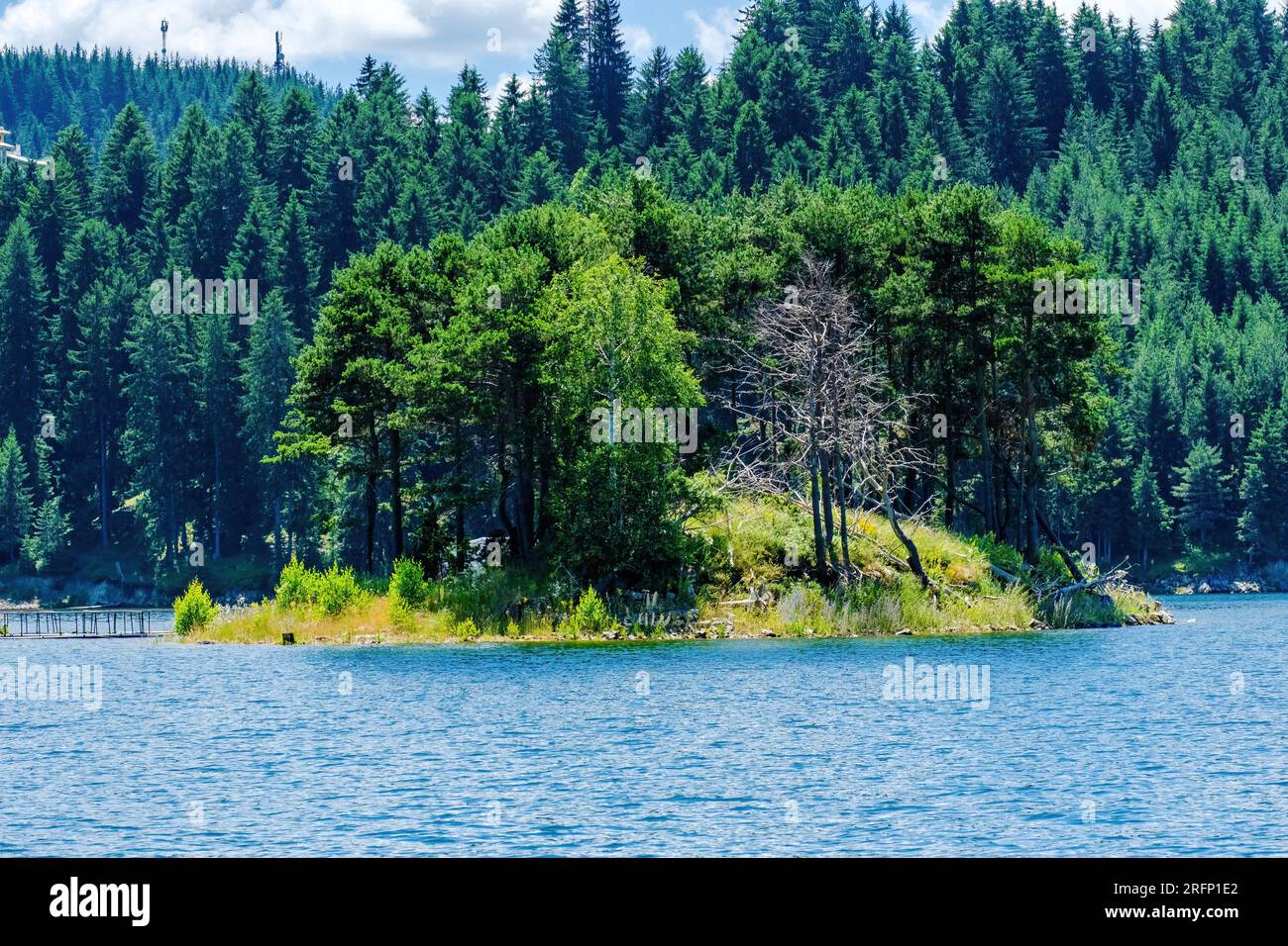 Summer landscape of Dospat dam in Rhodope mountains, Bulgaria Stock ...