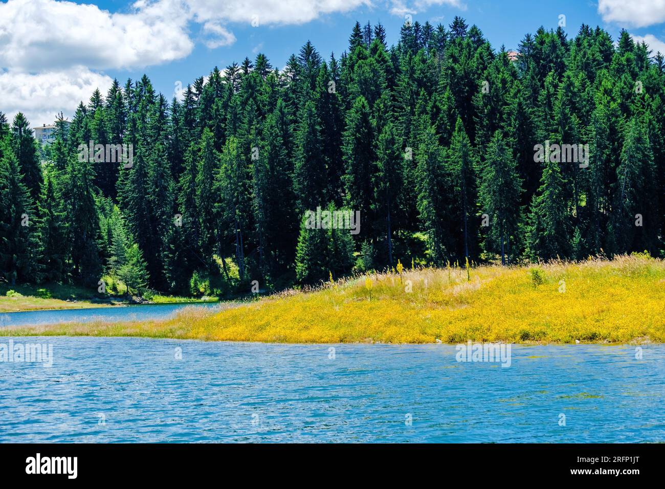 Summer landscape of Dospat dam in Rhodope mountains, Bulgaria Stock ...