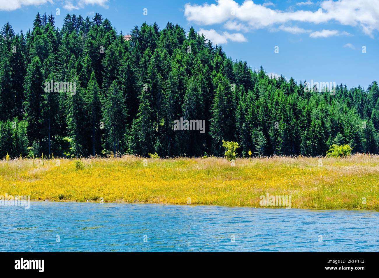 Summer landscape of Dospat dam in Rhodope mountains, Bulgaria Stock ...