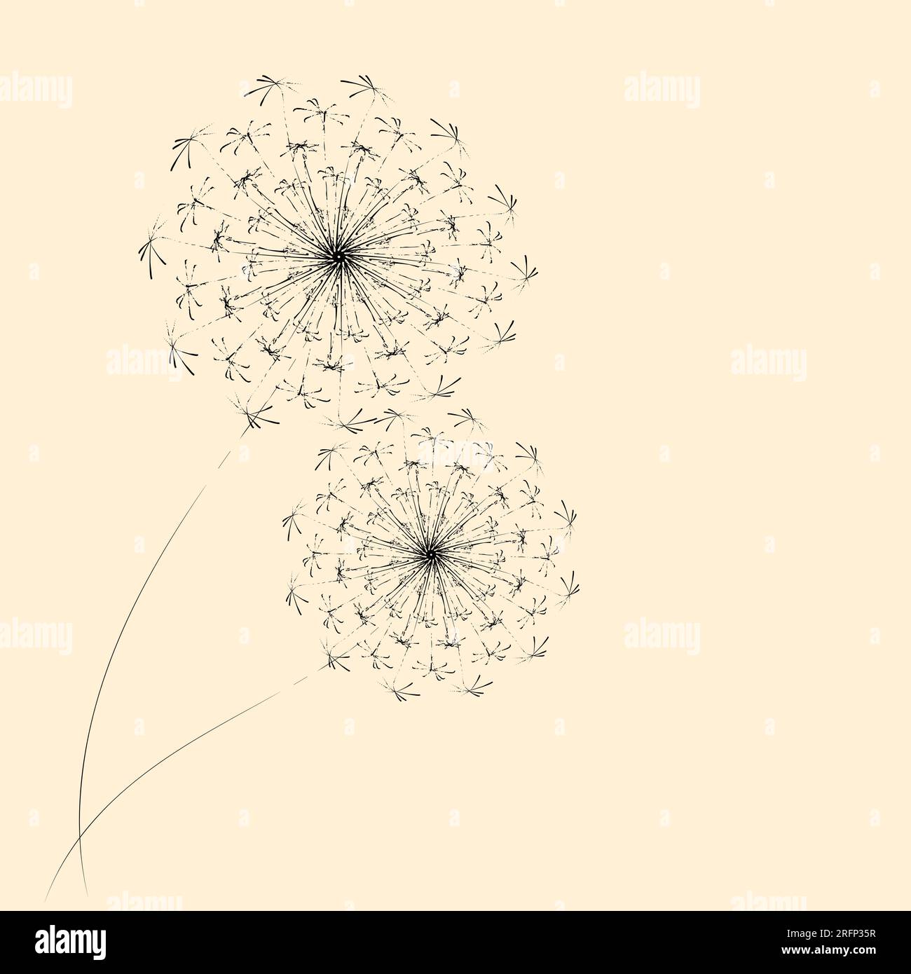 Summer floral background of stylized dandelions. For the design of ...