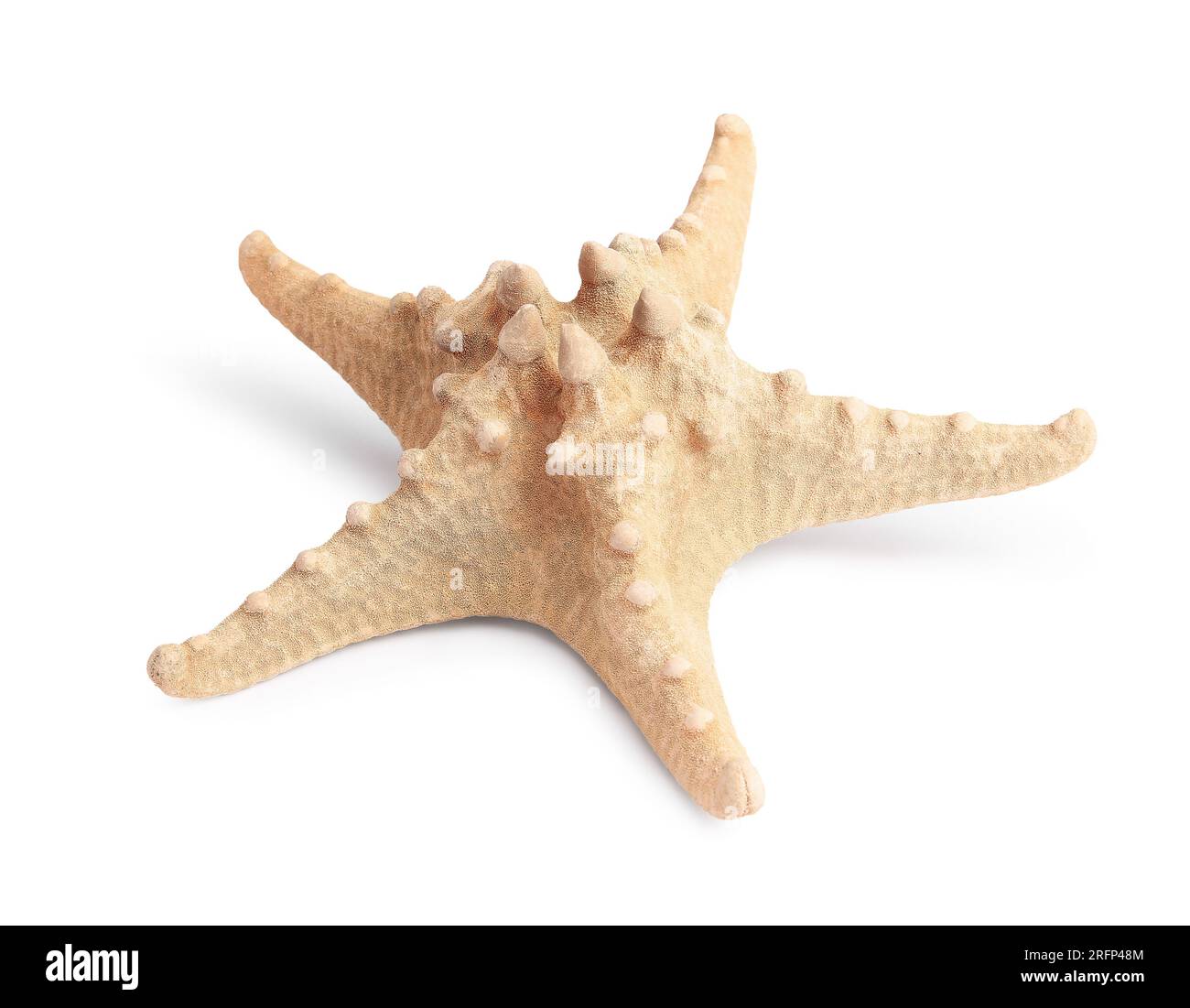 Beautiful sea star (starfish) isolated on white Stock Photo - Alamy