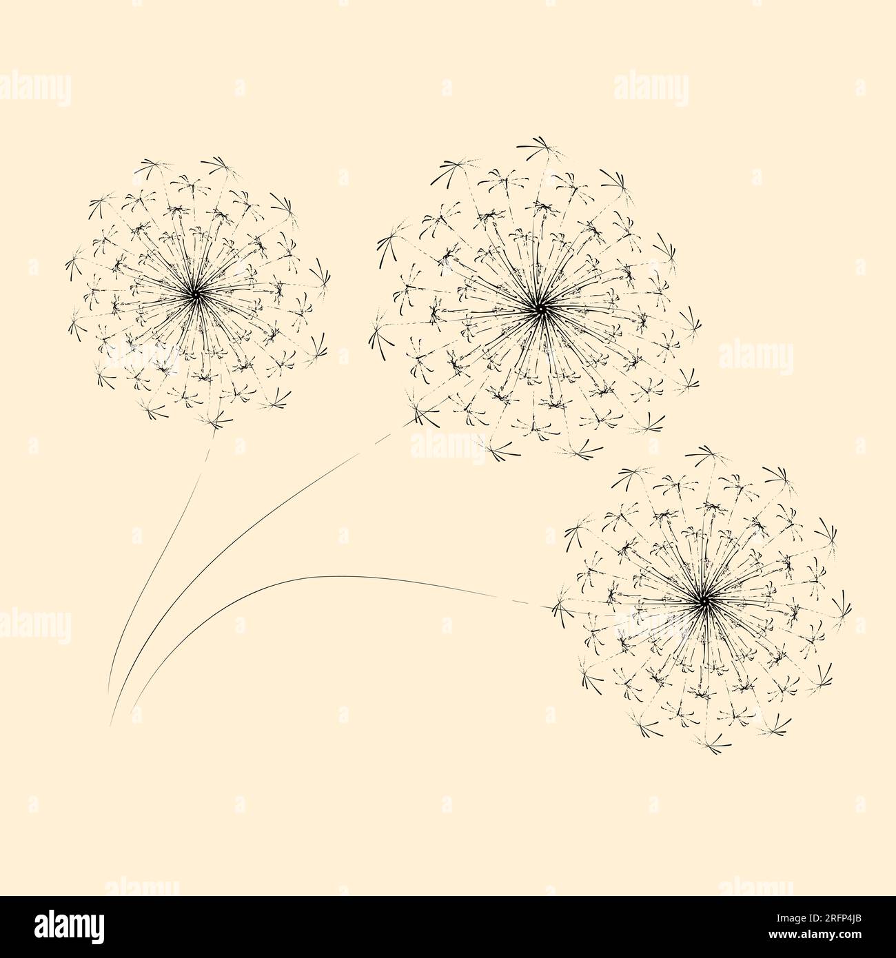 Summer floral background of stylized dandelions. For the design of ...