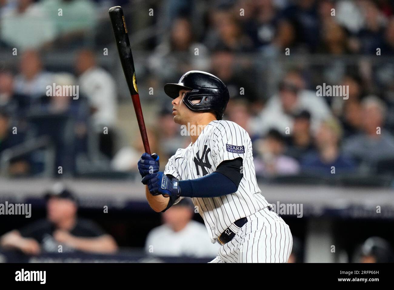 New York Yankees' Isiah Kiner-Falefa watches his home run against the ...