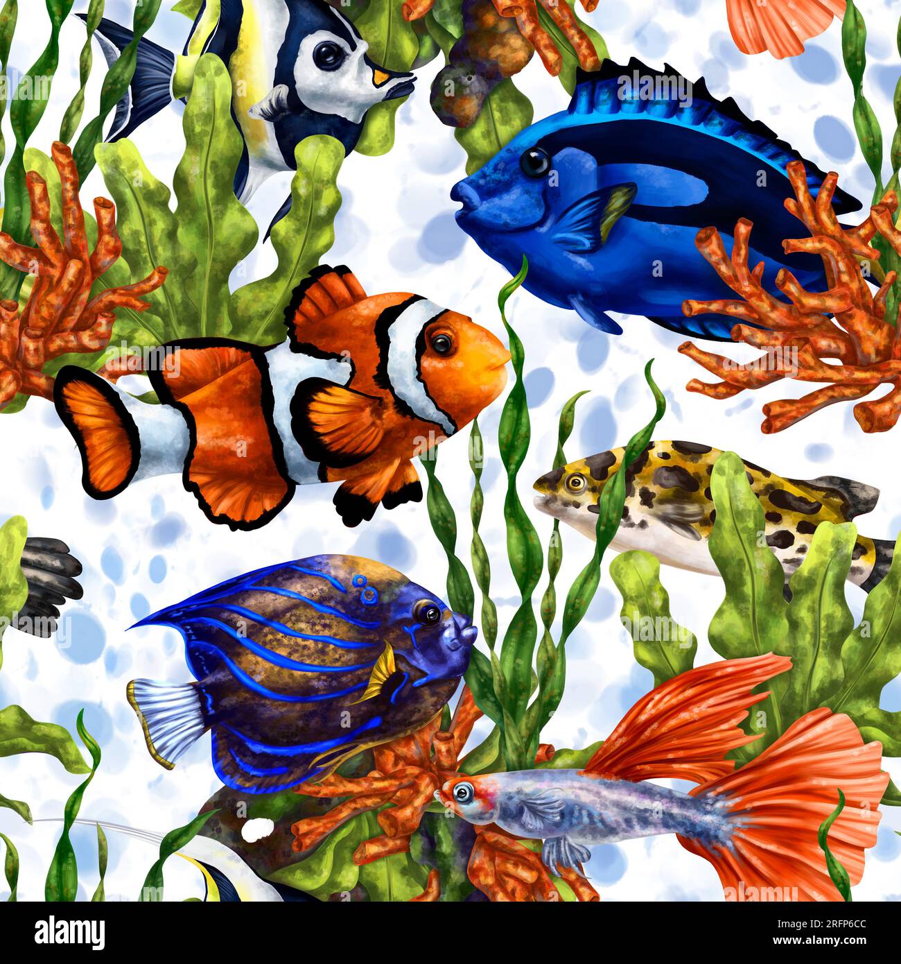 Colorful sea fish in the ocean. Tropical waterfowl among green algae ...