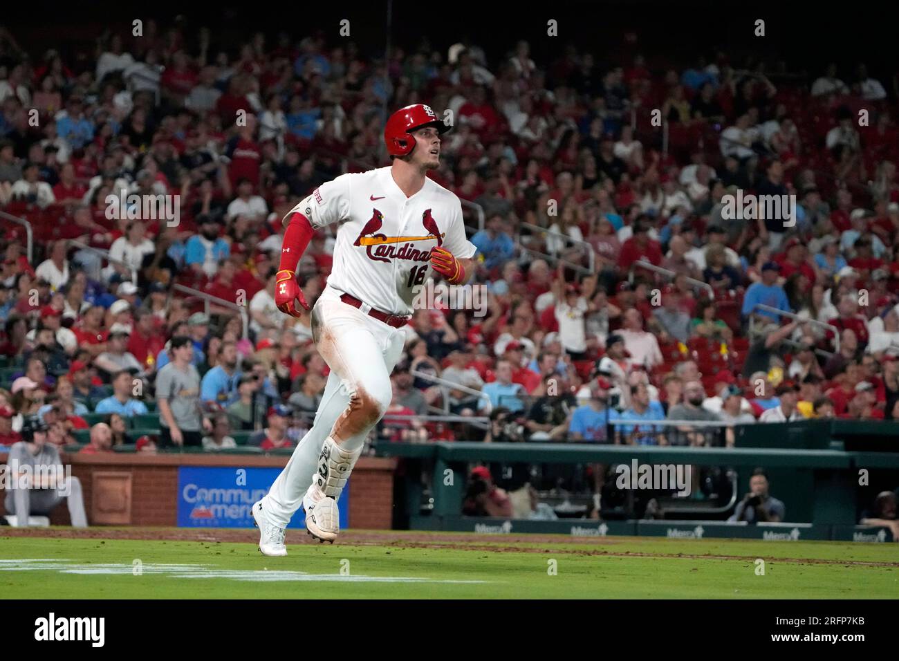 St. Louis Cardinals' Nolan Gorman watches his solo home run during the ...