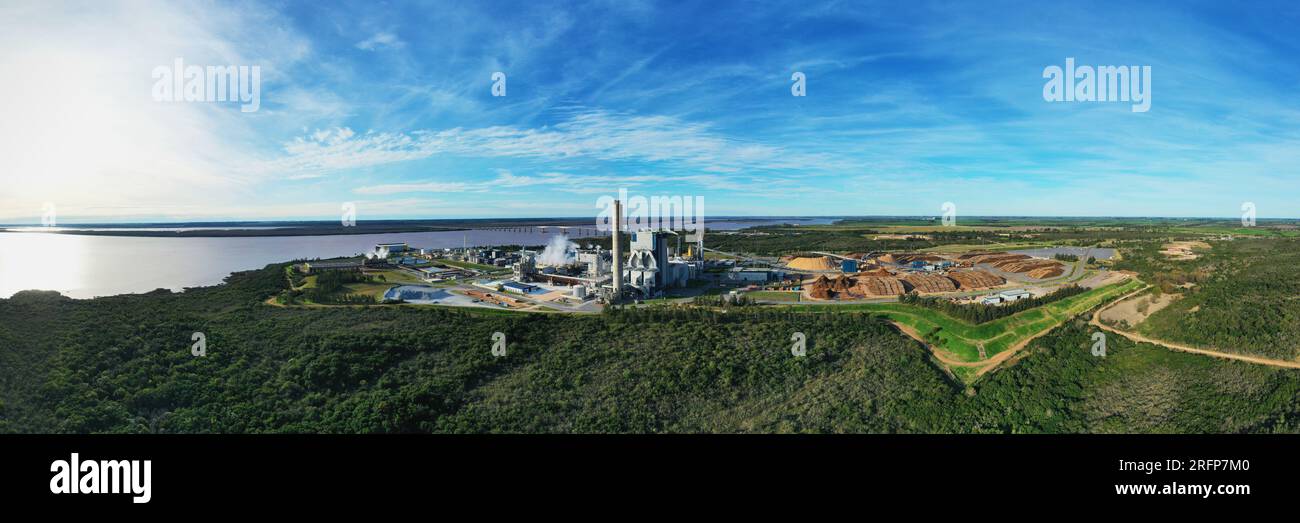 Finnish owned UPM Pulp mill along Uruguay river in Rio Negro department ...
