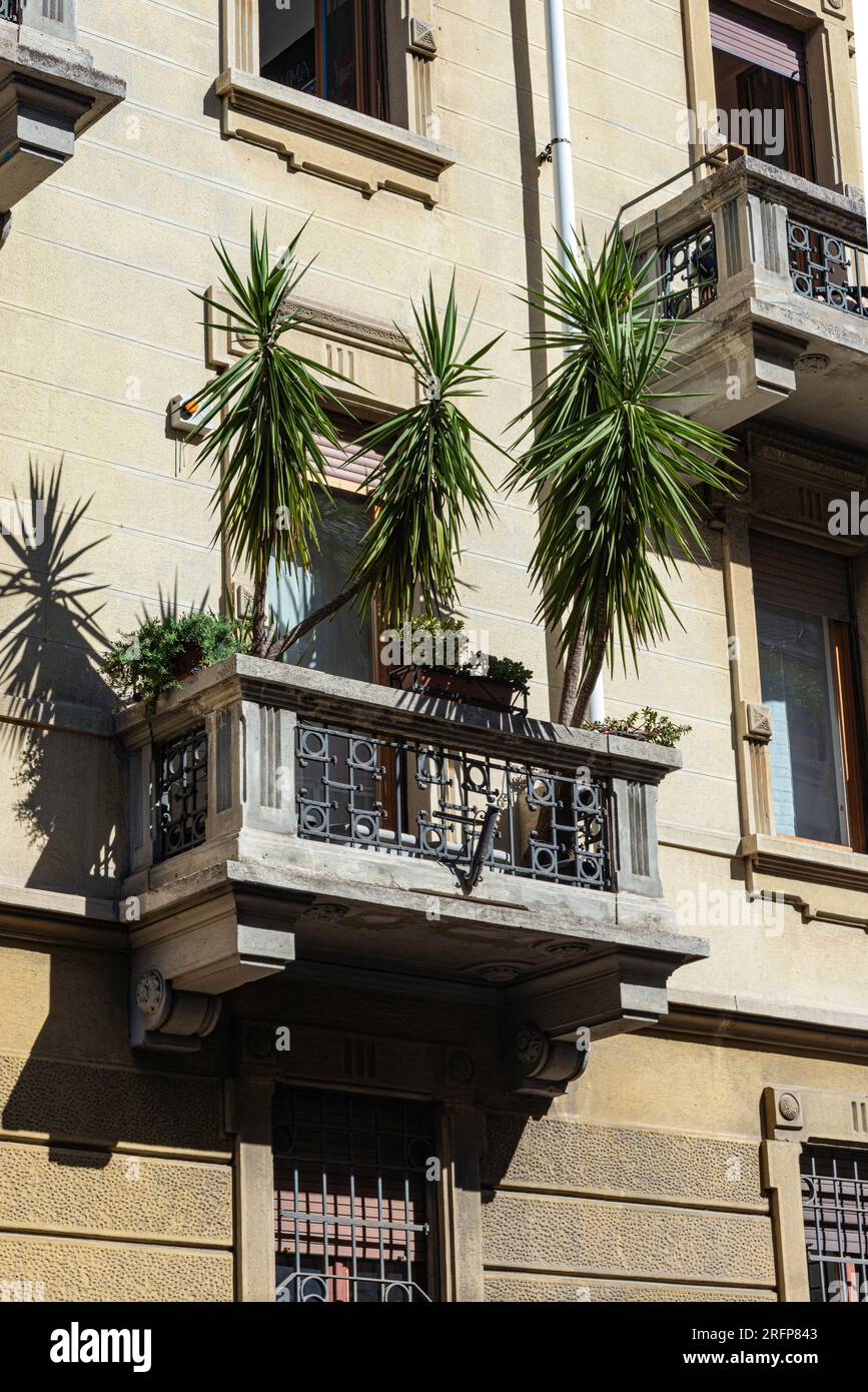 Milan palm trees hi-res stock photography and images - Alamy