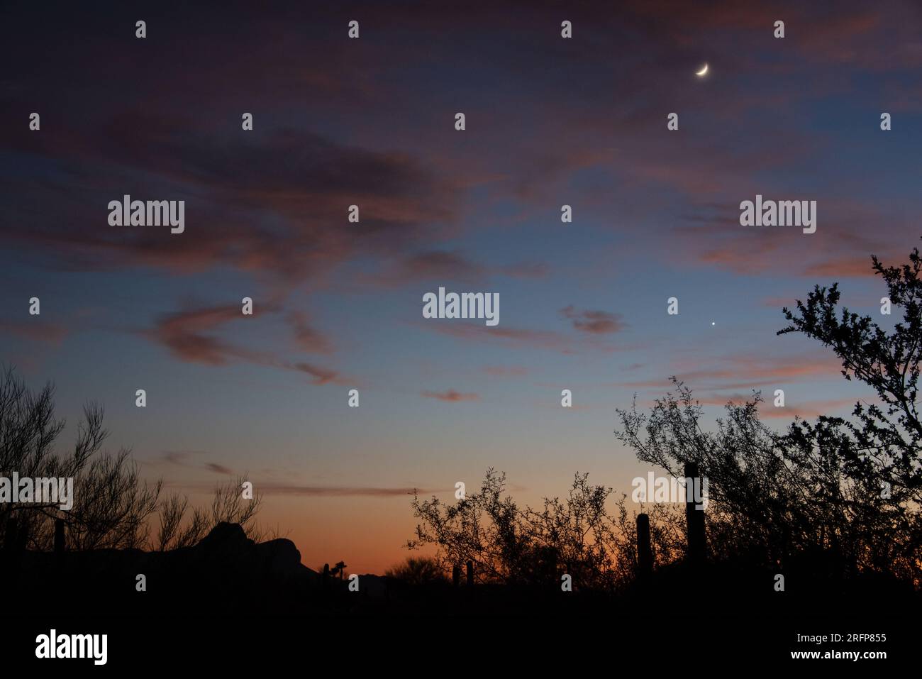 Moon rise in the sonoran desert hi-res stock photography and images - Alamy
