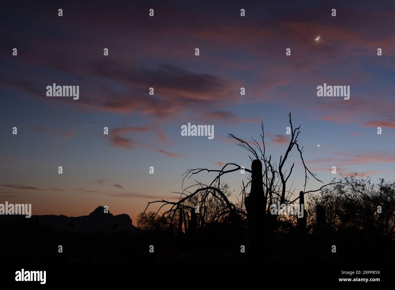 Sonoran desert sunset moon hi-res stock photography and images - Alamy