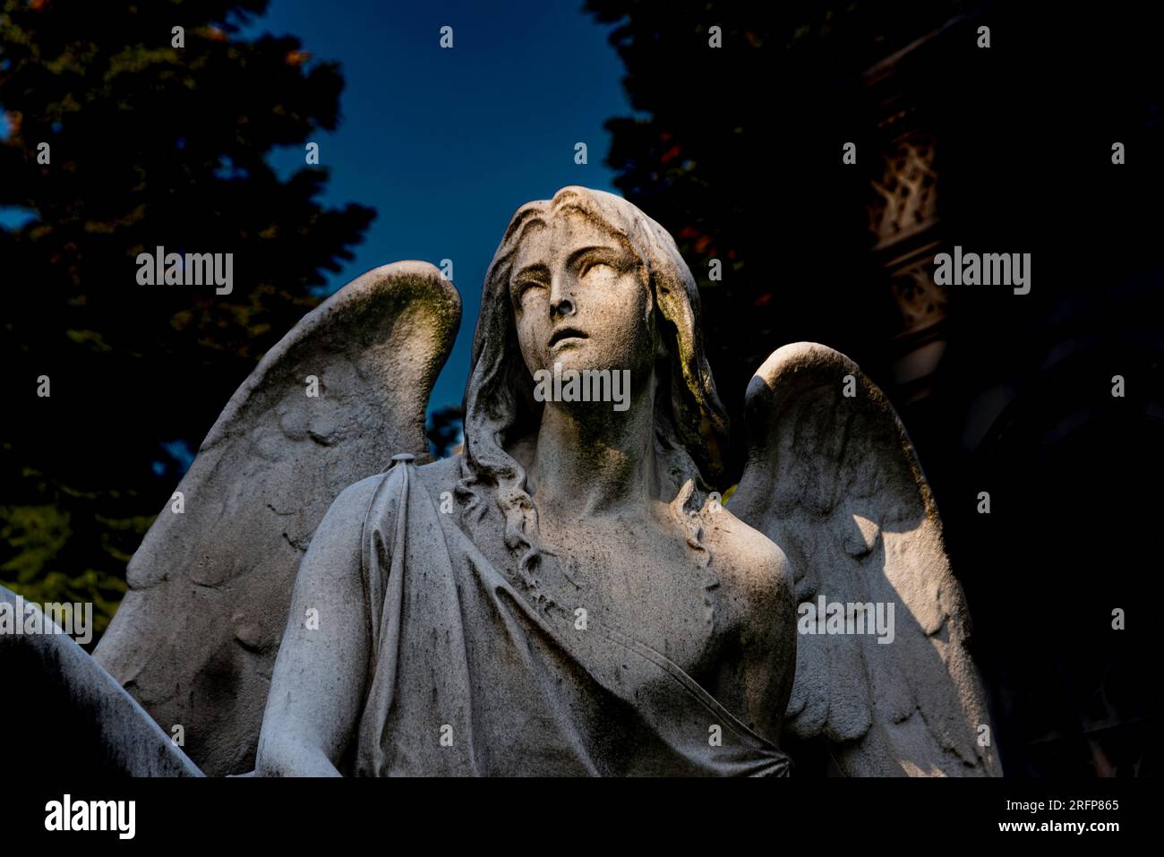 cemetery statue of angel looking up with light hitting its face Stock ...