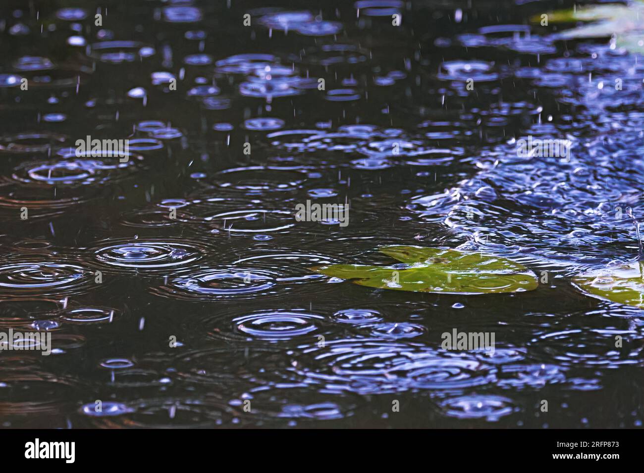 Beautiful water outside in nature, beautiful wet fun. Floating objects ...