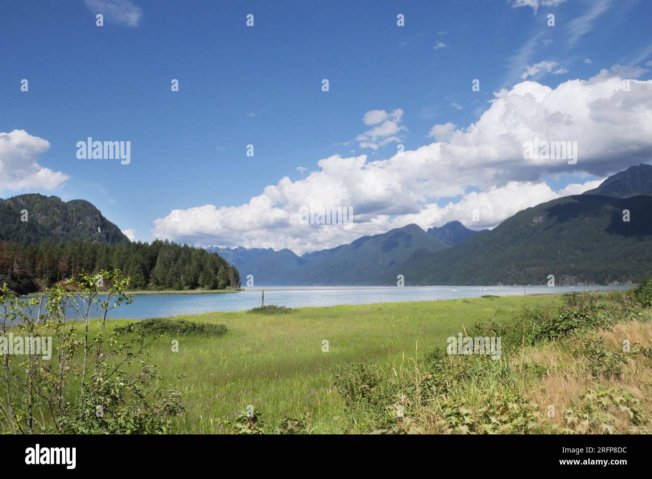 Pitt Lake - Grant Narrows Regional Park in Pitt Meadows, British ...