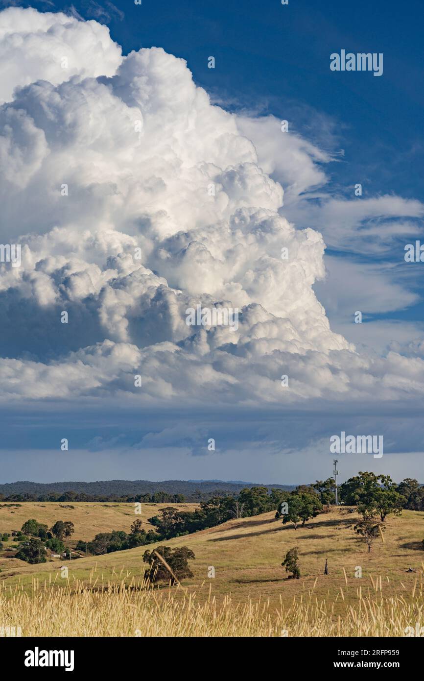 A dramatic thunderstorm developing over a rural valley at Guildford in ...