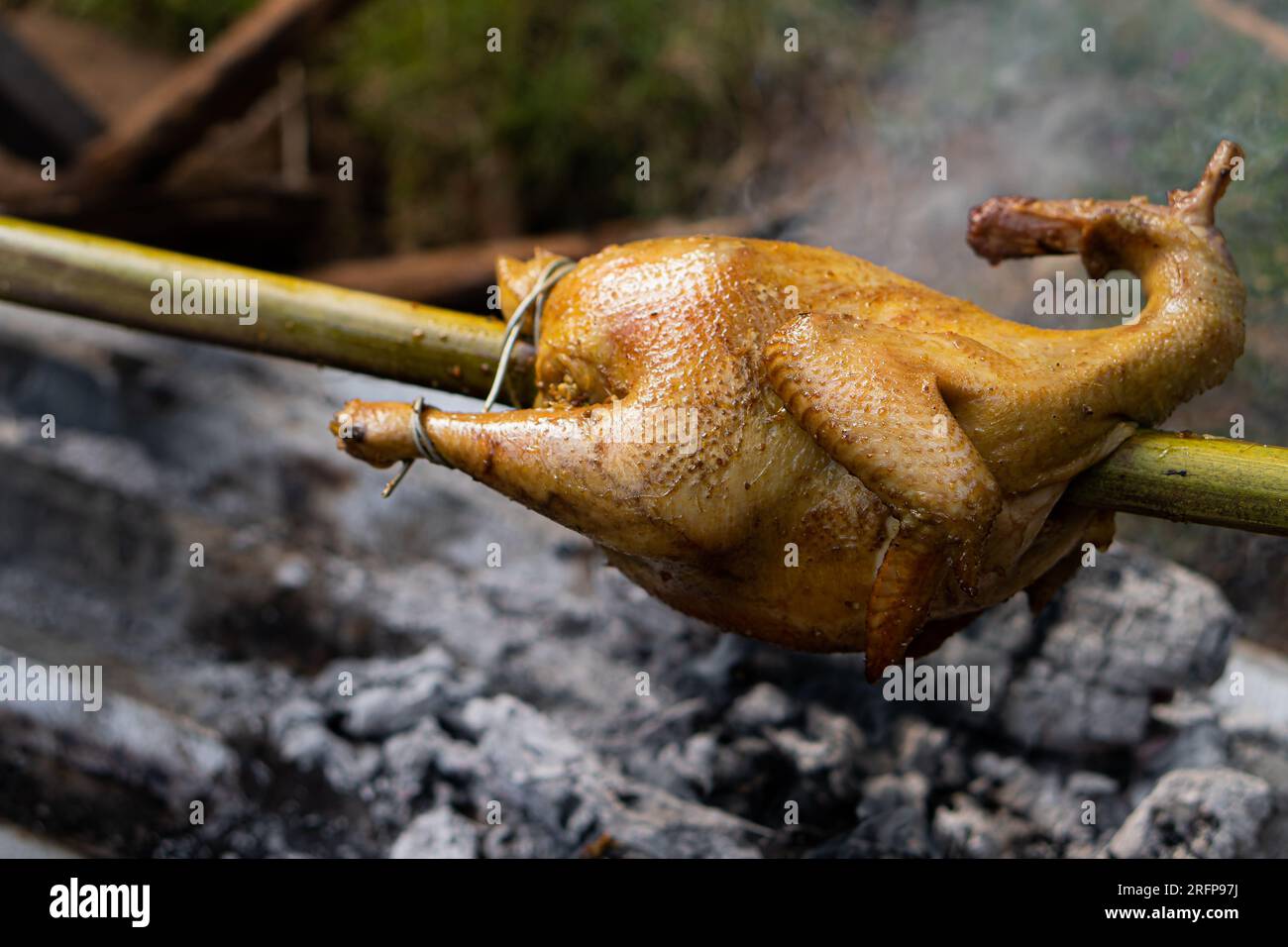 Chicken over hi-res stock photography and images - Alamy