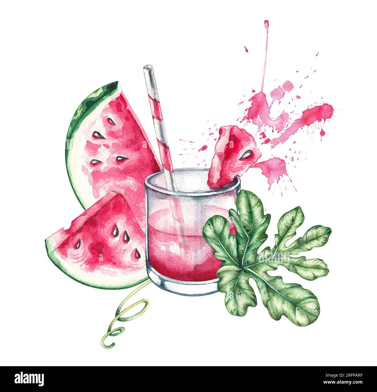 Watercolor hand drawn watermelon composition. Watermelon, drink, plants ...