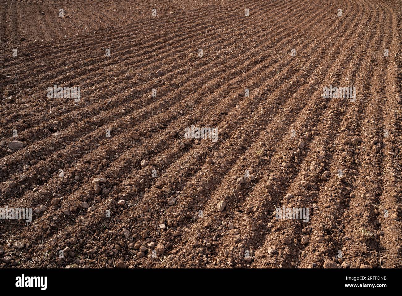 Agrarian agricultural agrarian hi-res stock photography and images - Alamy