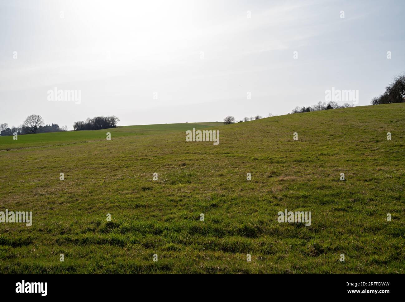Wide landscape green grass country hi-res stock photography and images ...