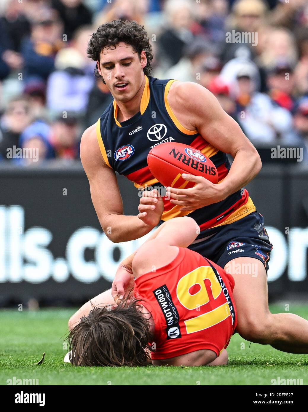 Adelaide, Australia. 05th Aug, 2023. James Borlase of Adelaide catches ...