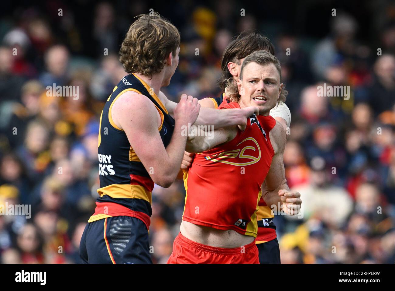 Adelaide, Australia. 05th Aug, 2023. Nick Holman of the Gold Coast Suns ...
