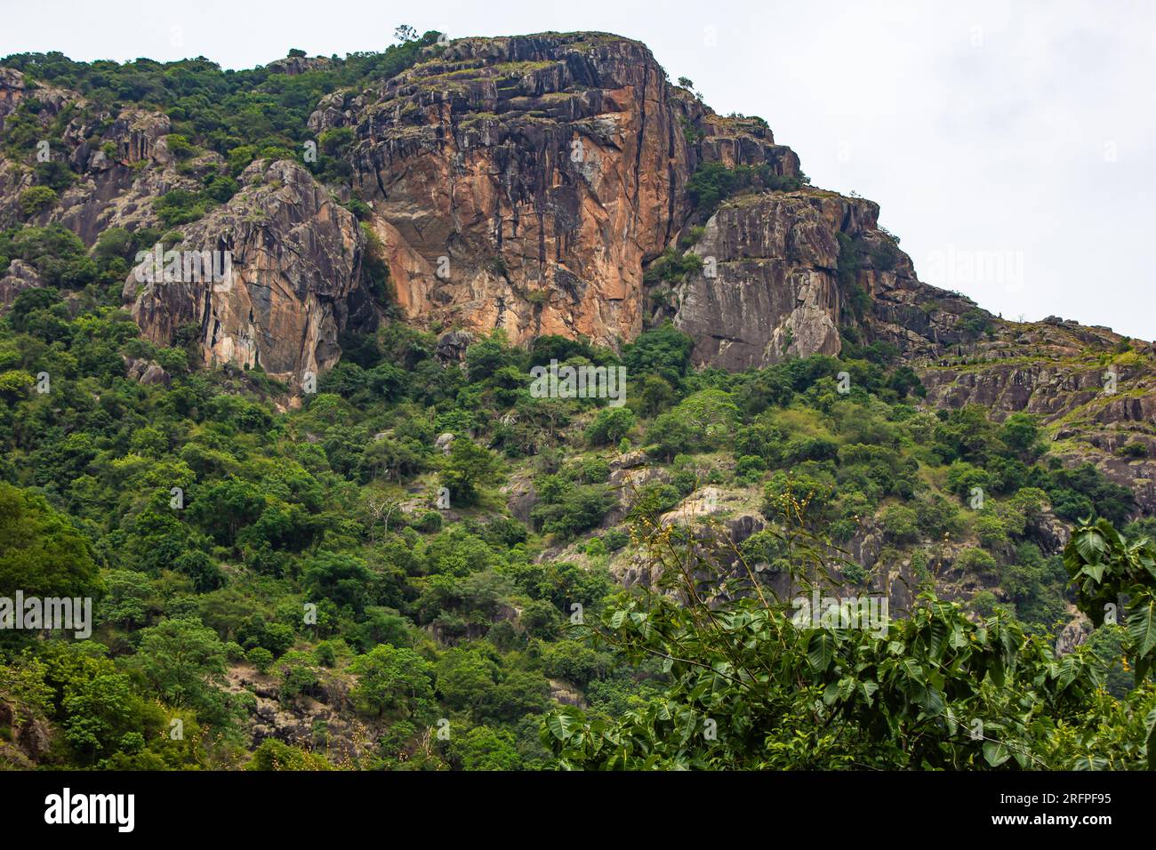 Beautiful landscape of the kolli hills in the Namakkal district, Tamil ...