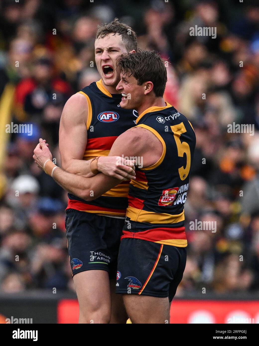 Adelaide, Australia. 05th Aug, 2023. Jordan Dawson of Adelaide reacts ...