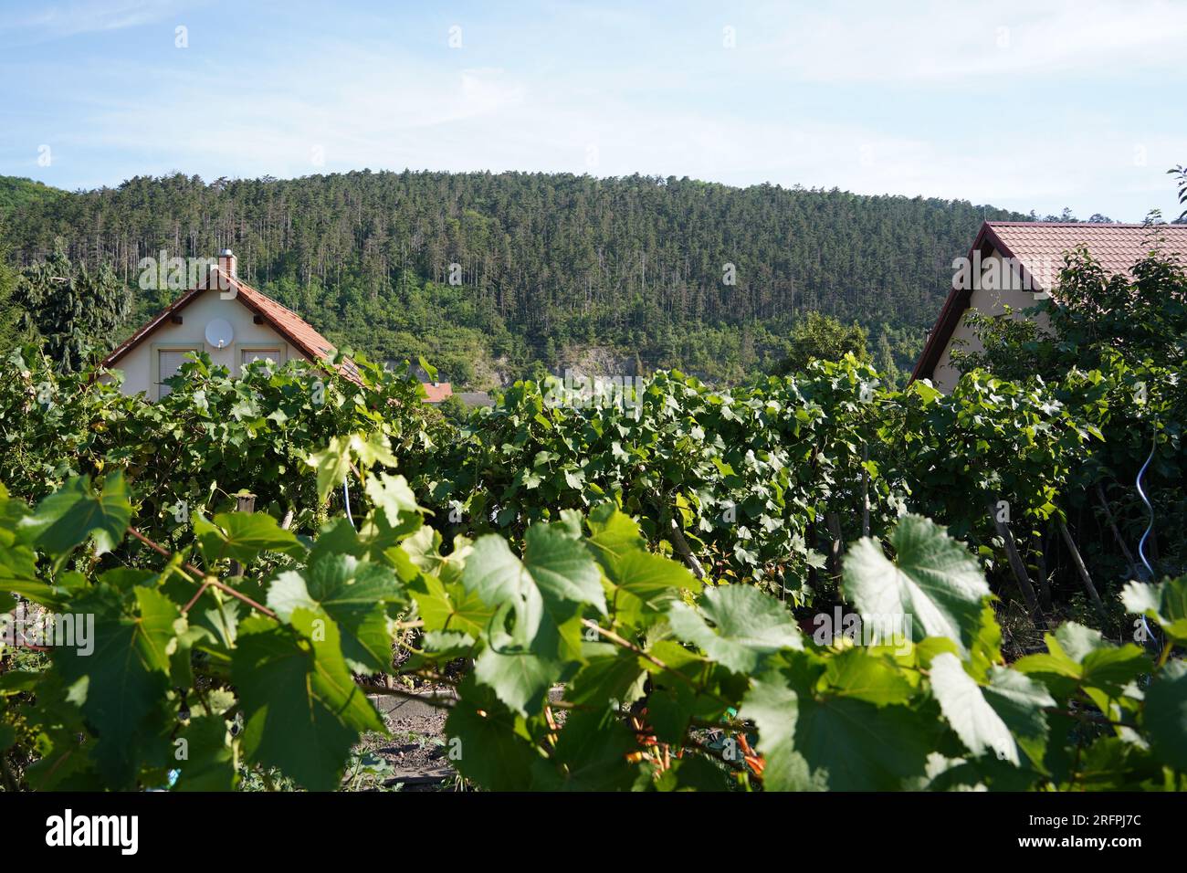 Berounka castle czech republic hi-res stock photography and images - Alamy
