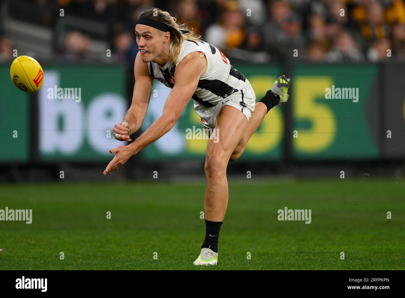 Melbourne, Australia. 05th Aug, 2023. Darcy Moore of the Magpies ...