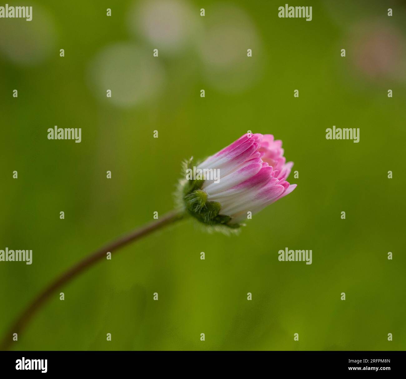 Abstract photography close up hi-res stock photography and images - Alamy
