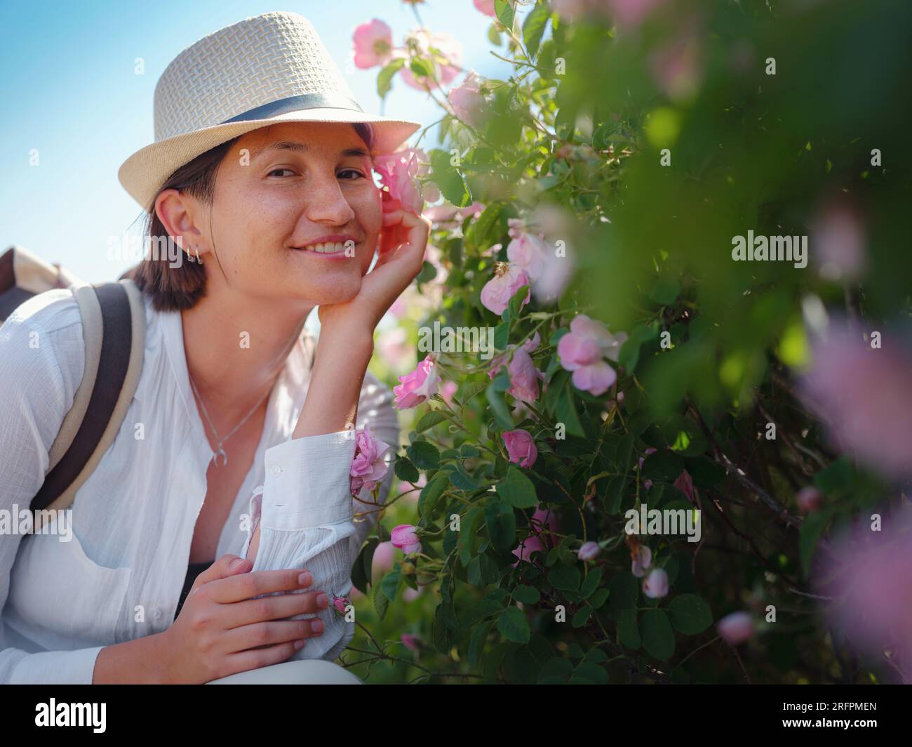 woman enjoying the aroma in Field of Damascena roses in sunny summer ...