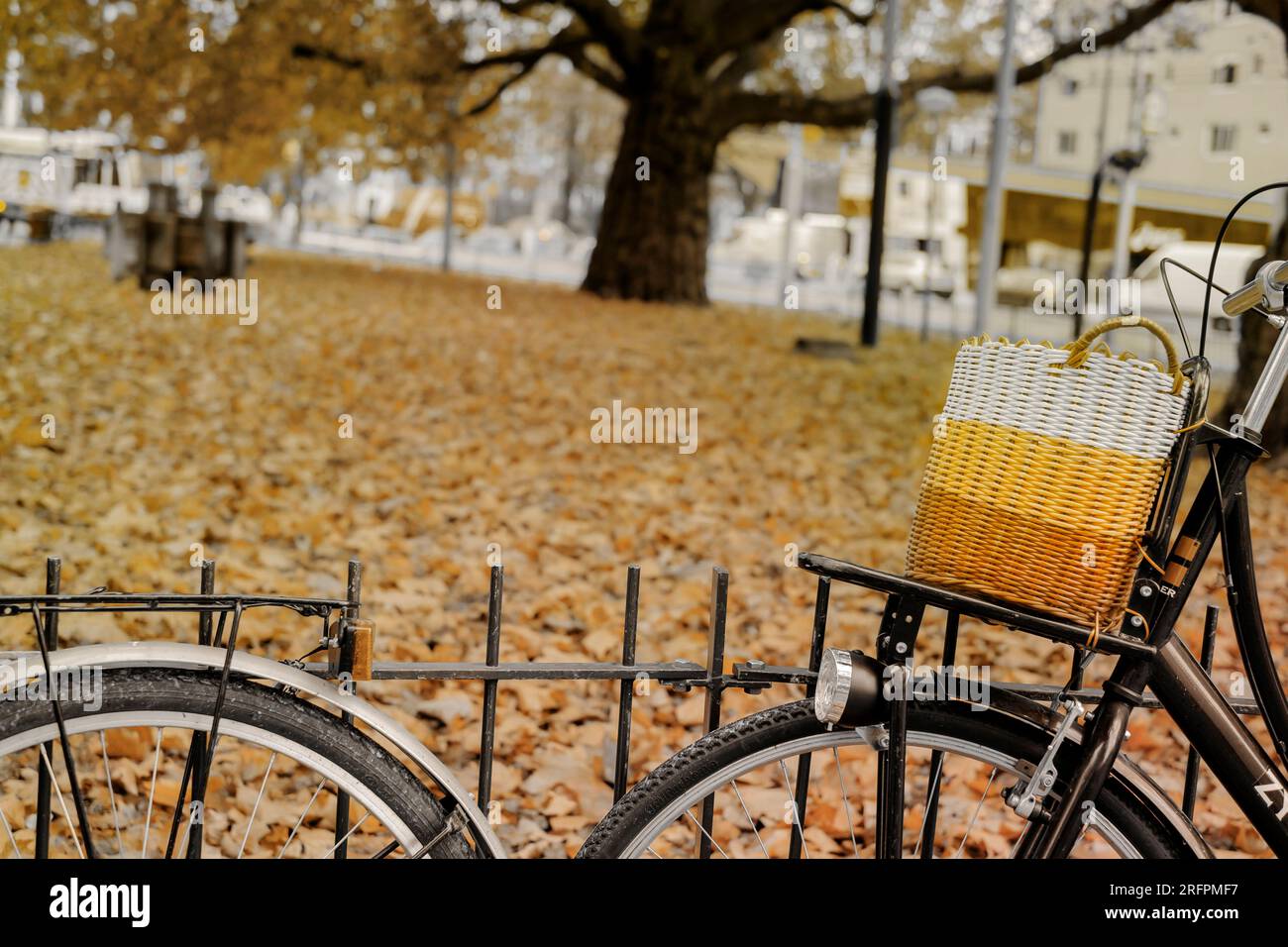 Cyclinglife hi-res stock photography and images - Alamy