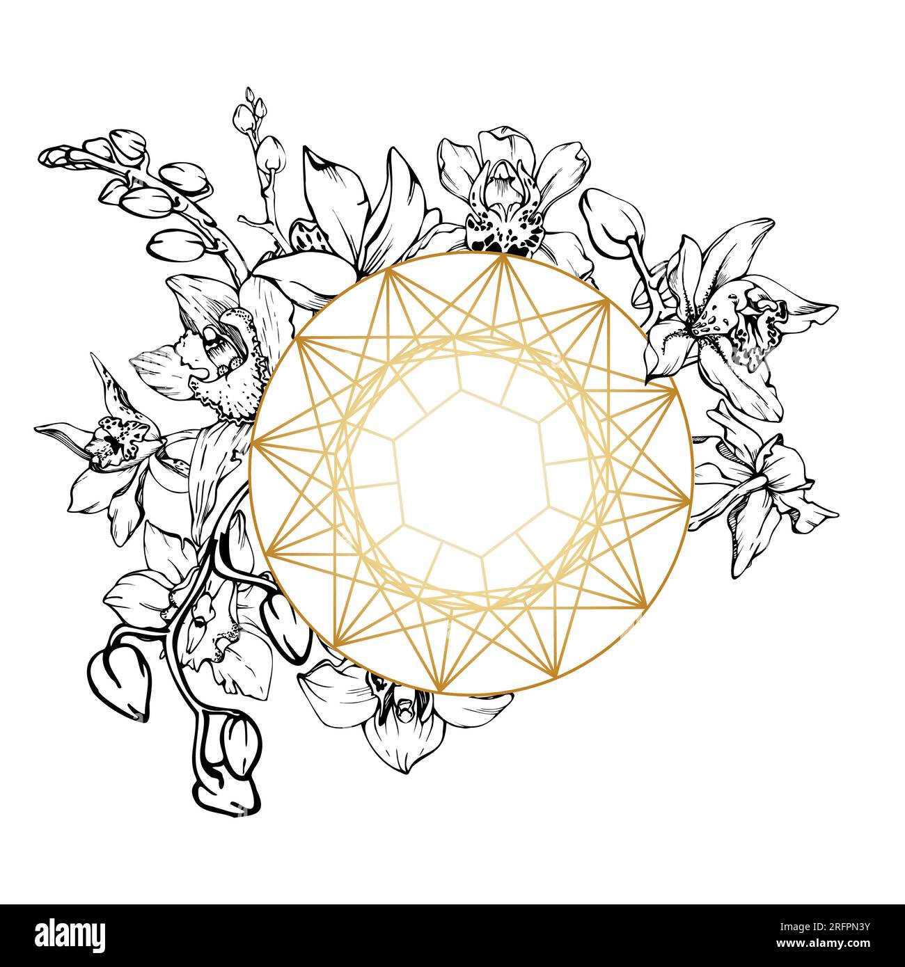 Hand drawn vector ink orchid flowers and branches, monochrome, detailed ...