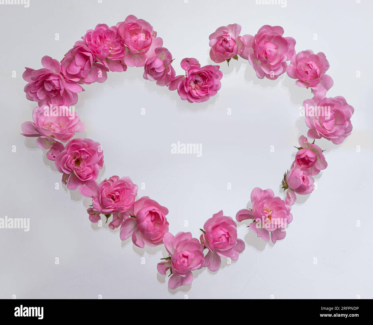 Valentine background. Heart shaped bouquet of beautiful pink rose ...