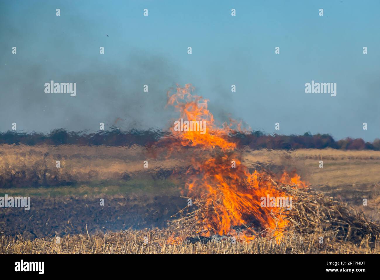 Destruction of grassland hi-res stock photography and images - Alamy