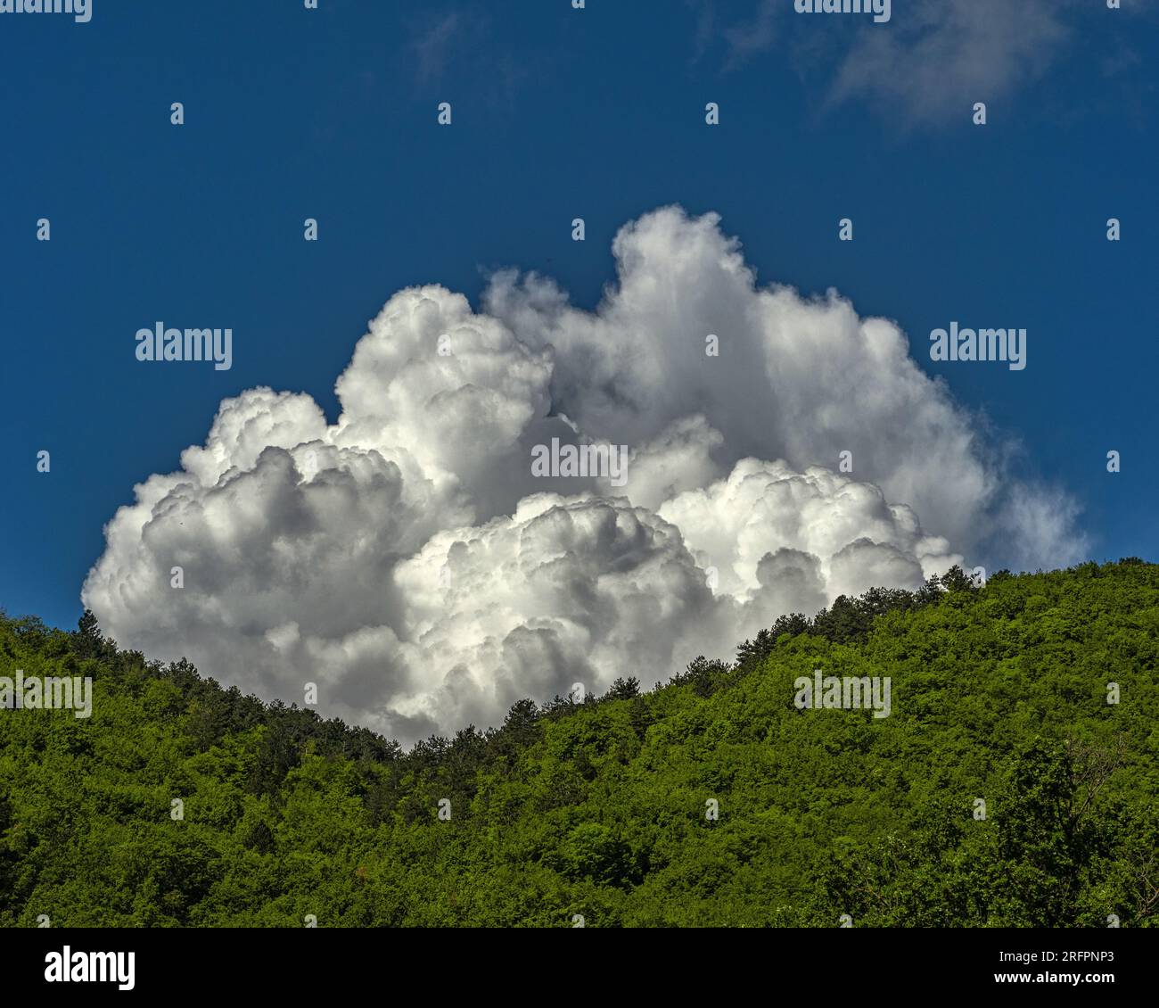 menacing rain clouds are approaching the woods of the Gran Sasso Stock ...