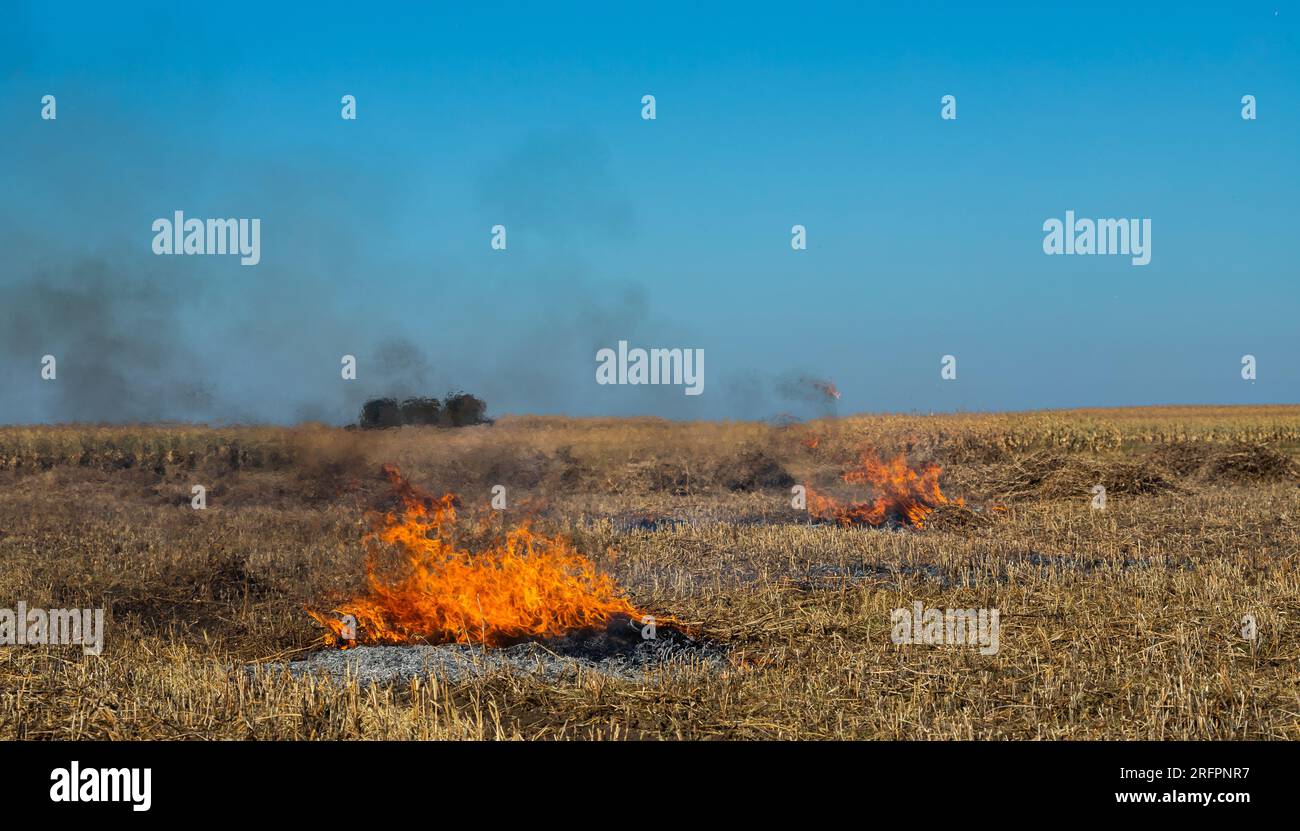 incineration of agricultural waste - smog and pollution. Harmful ...