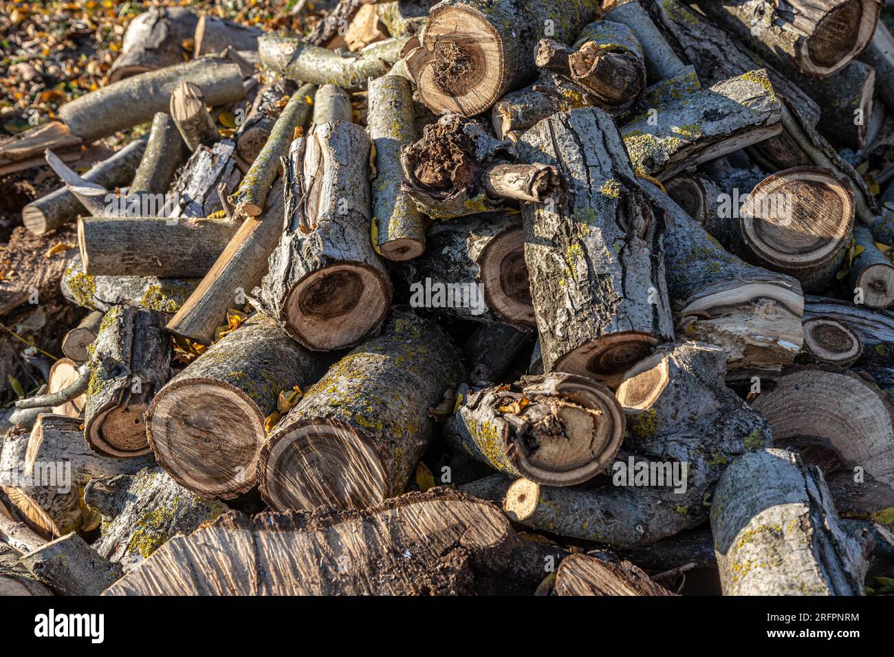 Textured lumber hi-res stock photography and images - Alamy