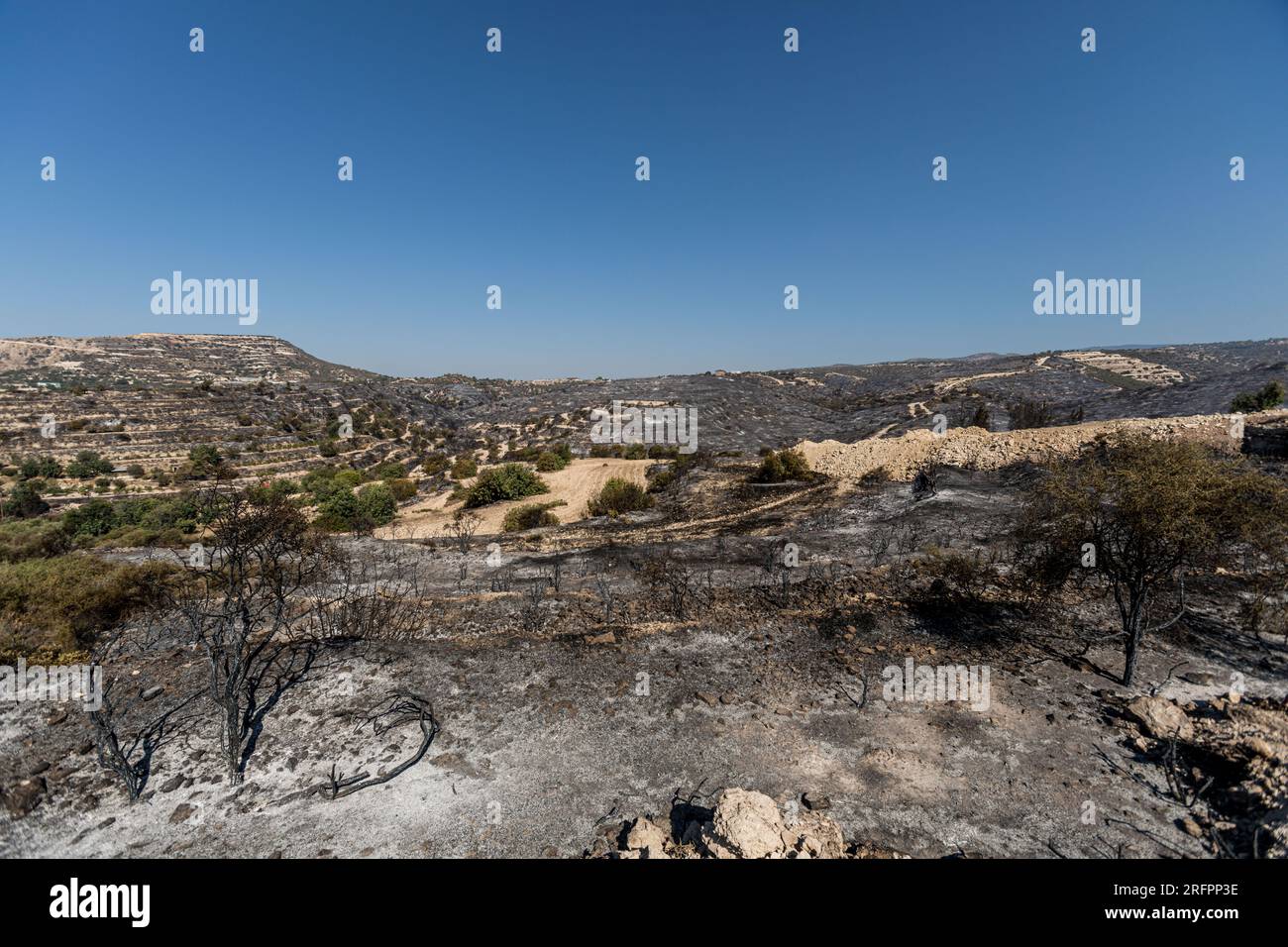 Alassa, Cyprus. 05th Aug, 2023. A general view of the burnt area ...