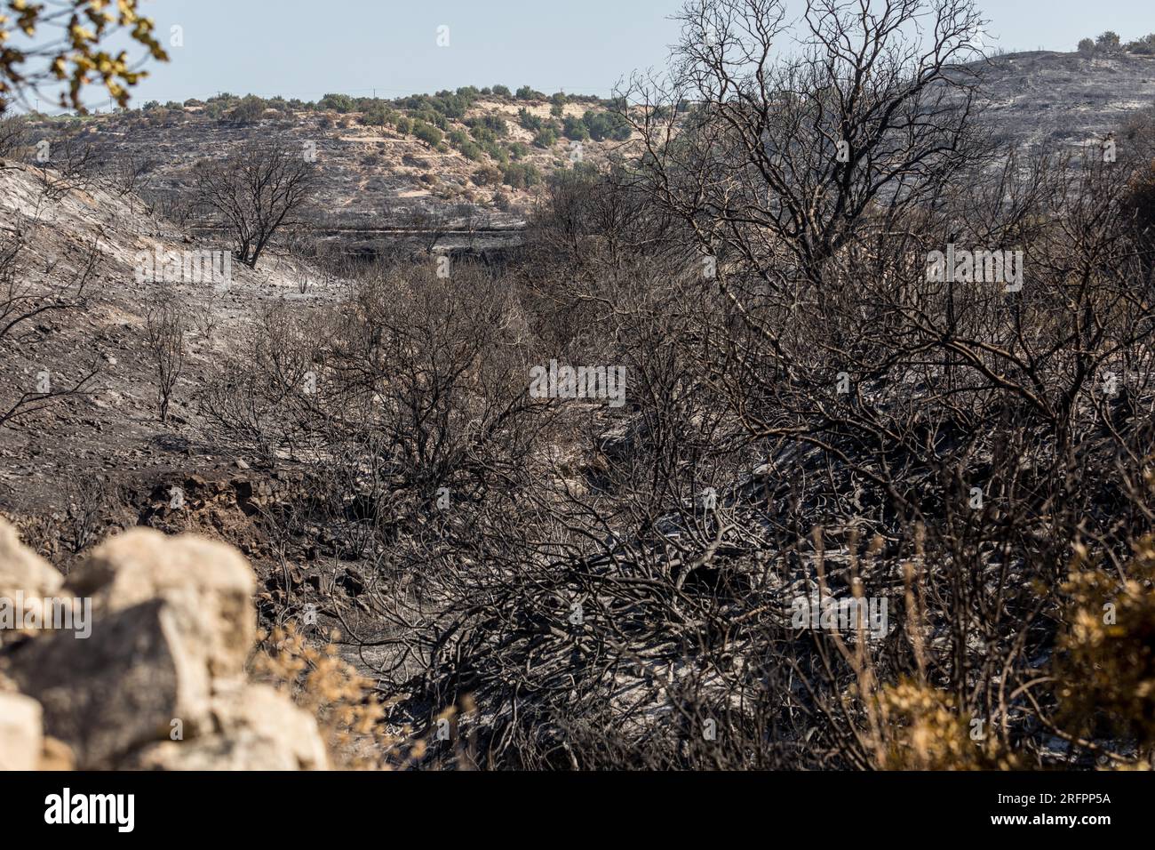 Alassa, Cyprus. 05th Aug, 2023. A general view of the burnt area ...