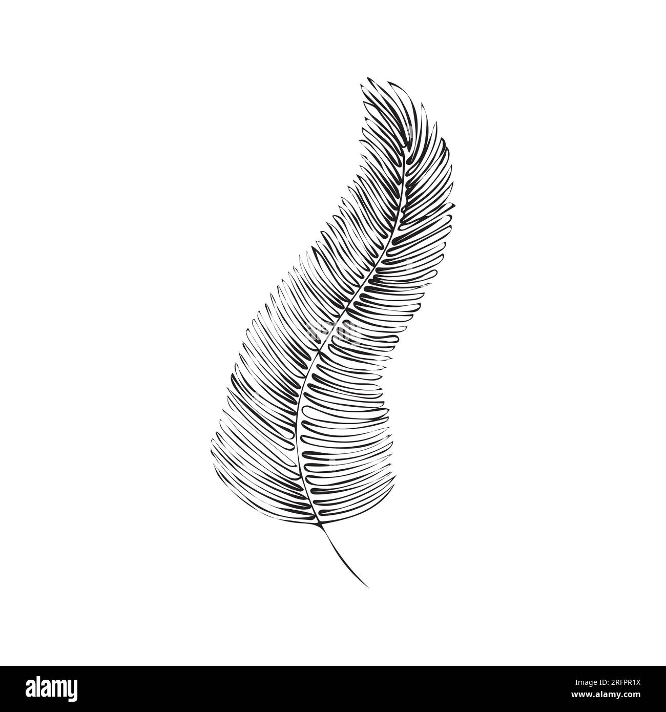 Hand-drawn feather like a leaf, element for designing , for ...