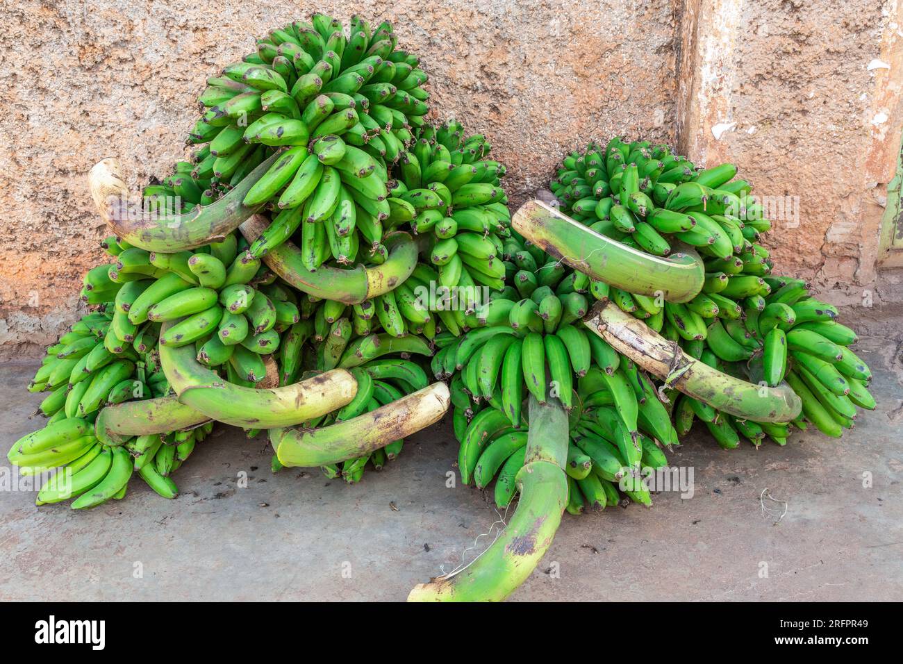Bunches of bananas, still green, for sale in Jinja market, Uganda Stock ...